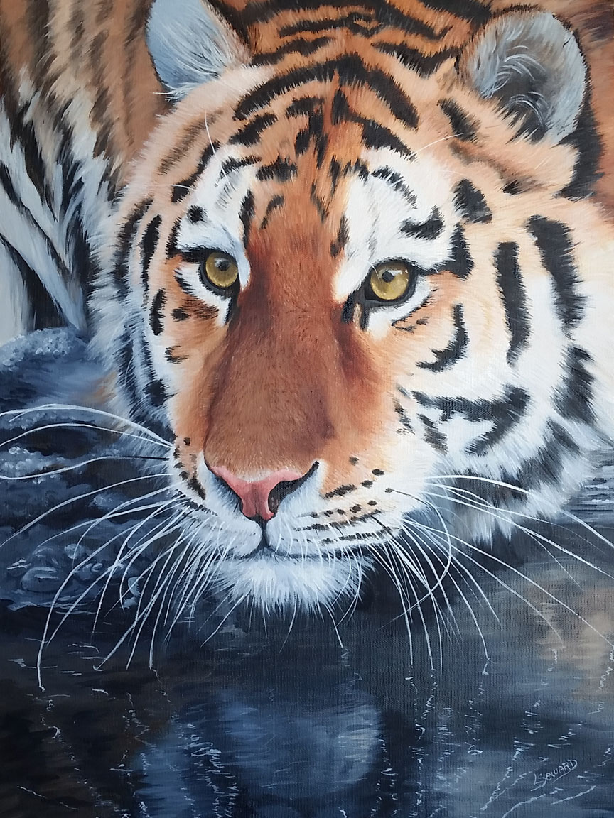 Gallery | Lori Seward Fine Art
